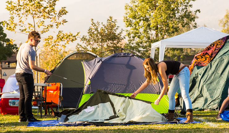 Camping Festival Essentials