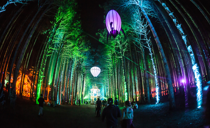 11 Must-See Acts at Electric Forest 2015