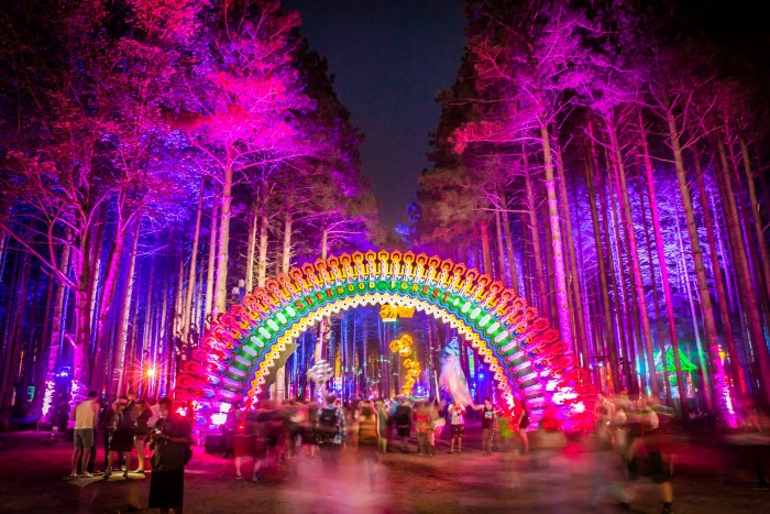 Electric Forest 2015, by the Numbers