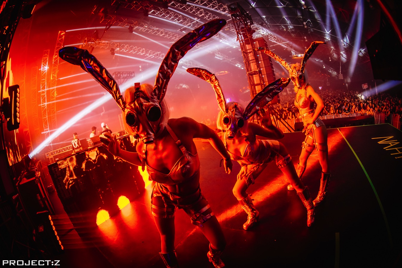 Project Z | Insomniac