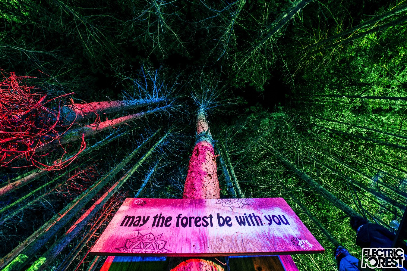 Electric Forest 2016 – Day 1 | Insomniac
