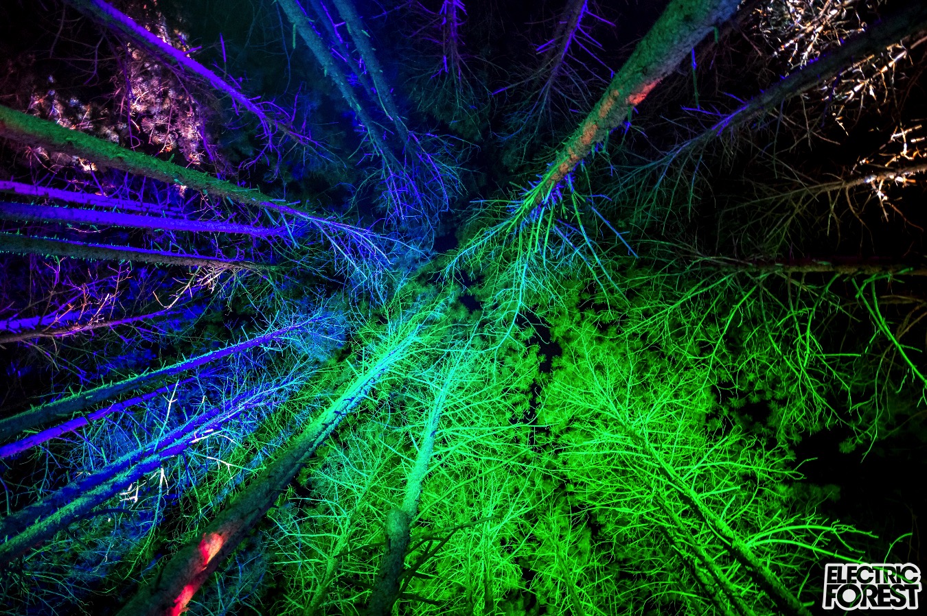 Electric Forest 2016 – Day 3 | Insomniac