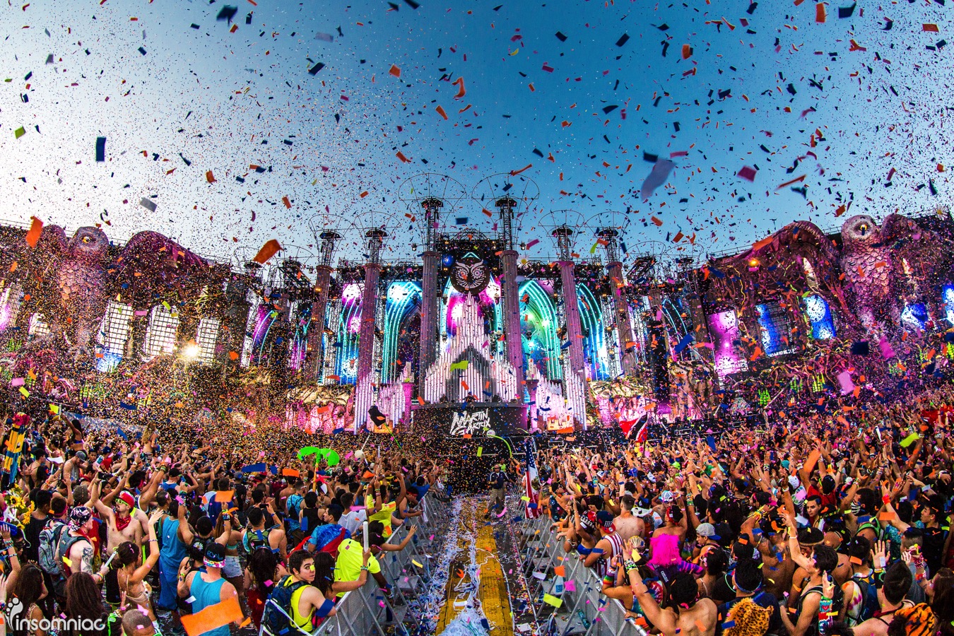 1000 Words with Taylor Wallace | Insomniac