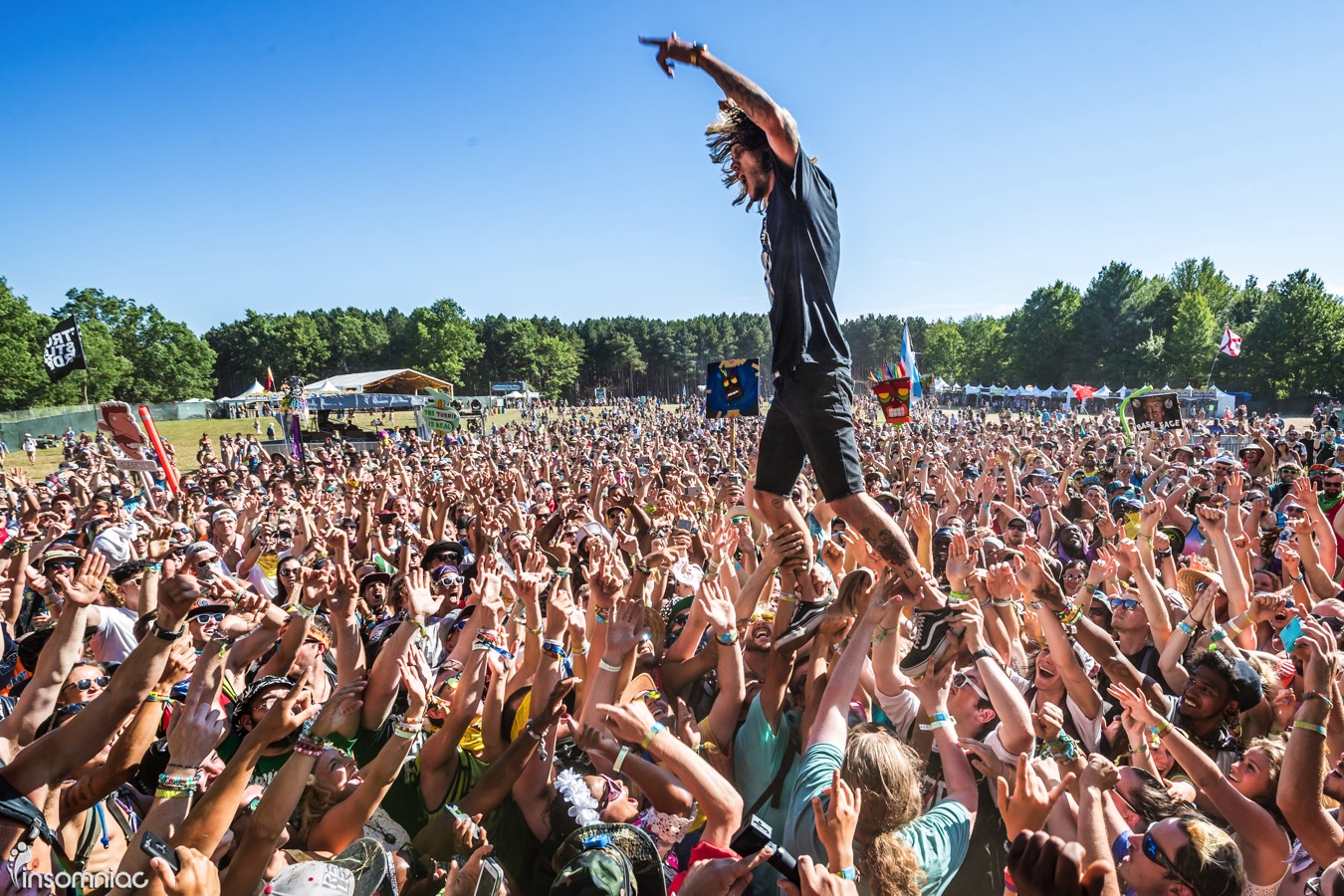 1000 Words with Taylor Wallace | Insomniac