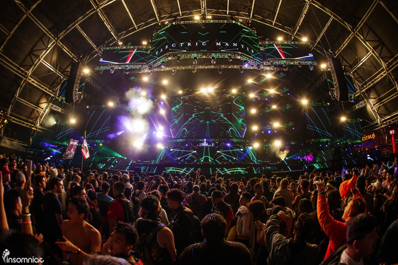 Countdown 2016 – Day 1 | Insomniac