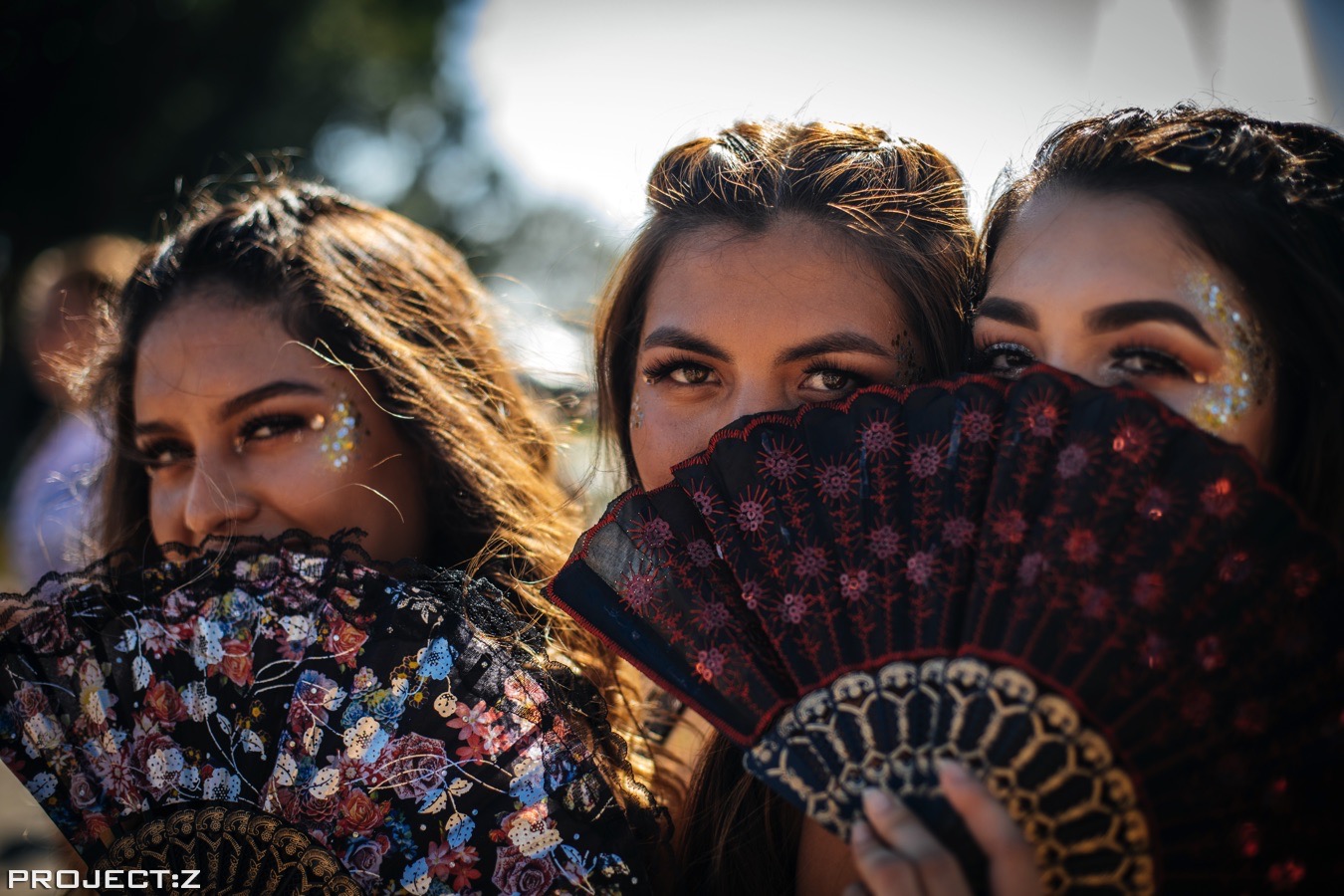 Project Z 2017 | Insomniac