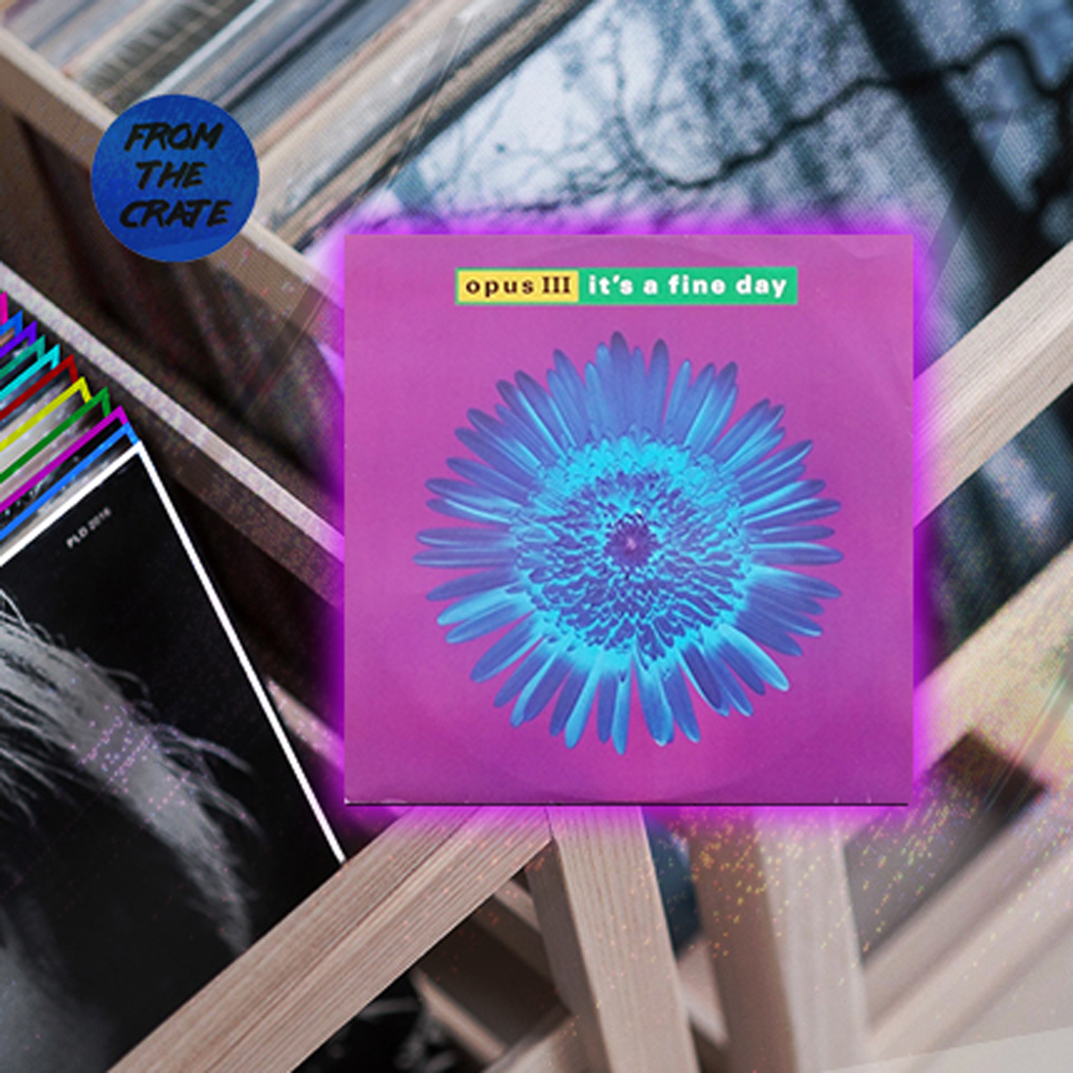 Opus III “It’s a Fine Day” | Insomniac