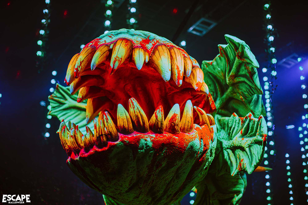 Escape Halloween 2023 | Insomniac