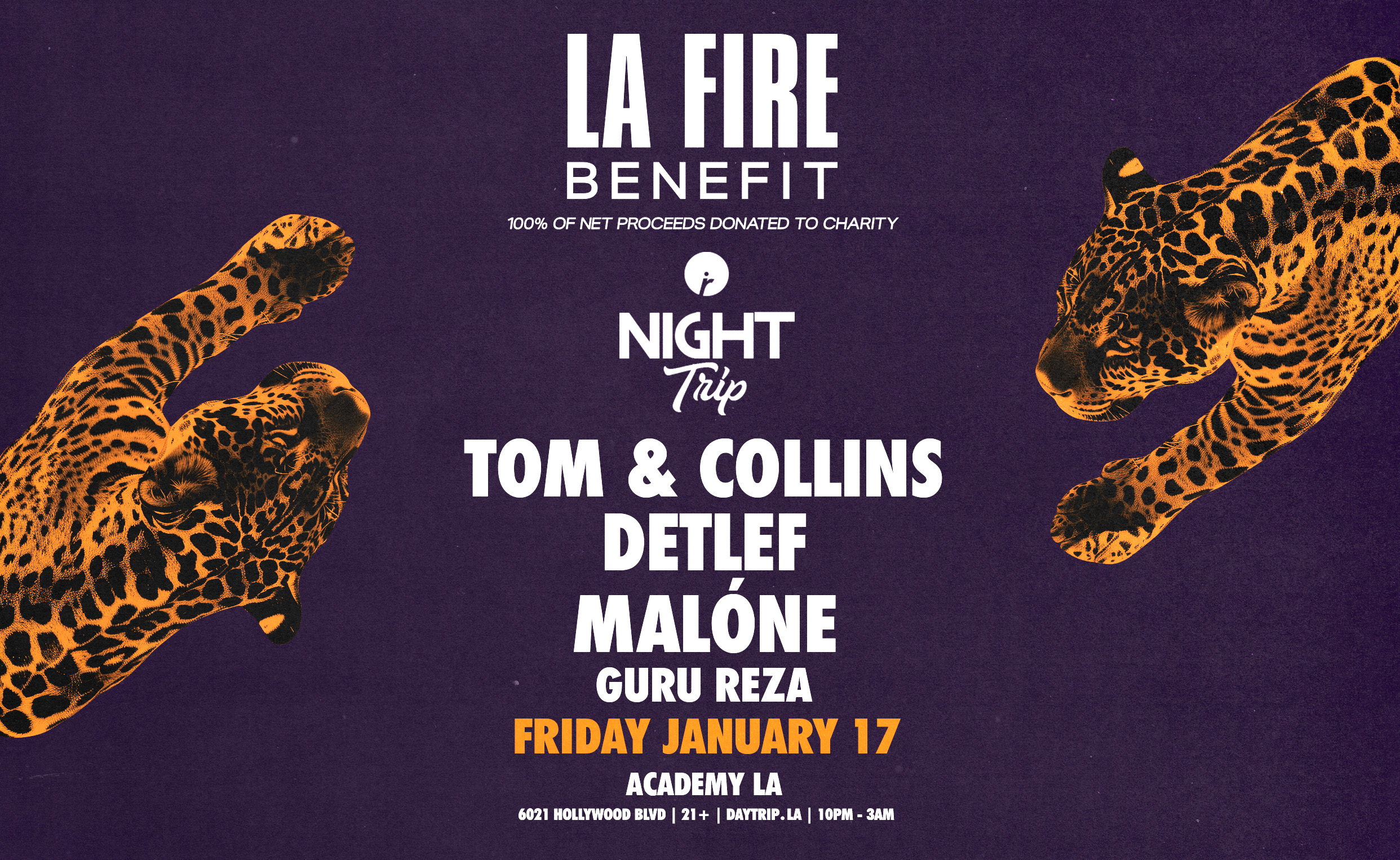 Tom & Collins, Detlef, Malóne – Insomniac